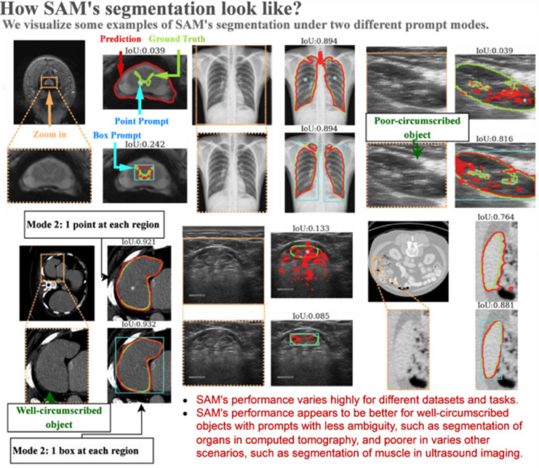 AI in Healthcare – news picked by GLI /03 - Graylight Imaging